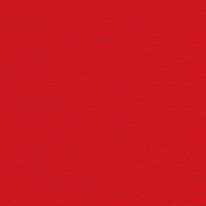 Papicolor Papier A4 rood 105gr-CV 12 vel 300918 - 210x297mm